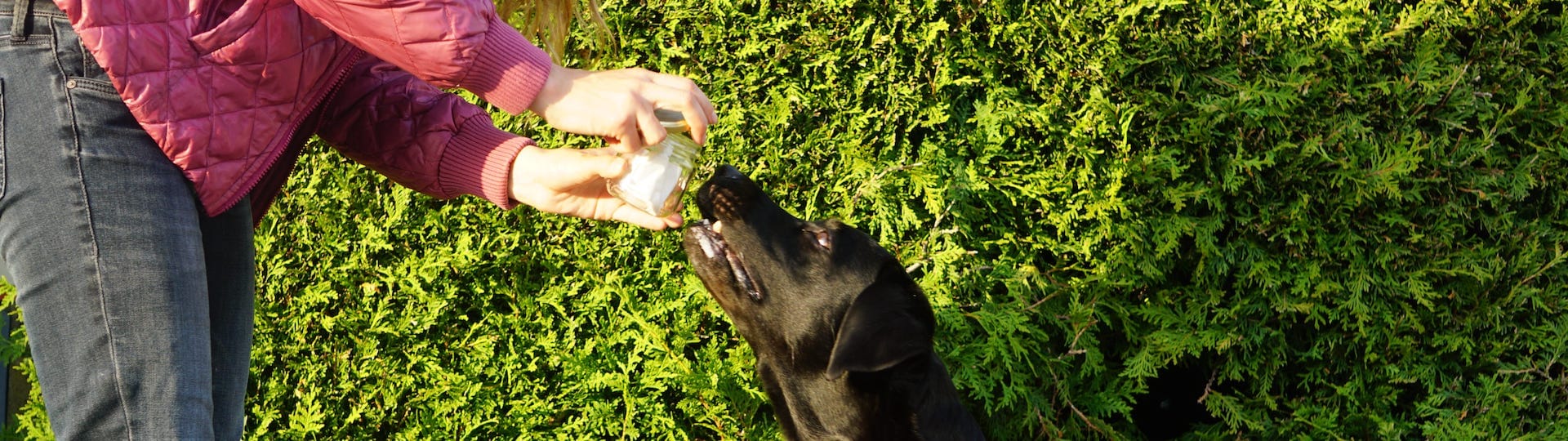 Geruchsartikel für Mantrailing - Mantrailing München, Blog
