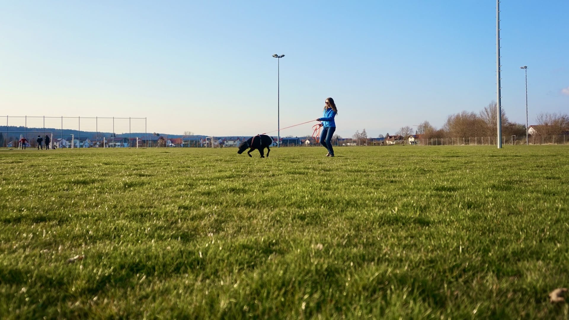 Einzeltraining | Schnell & Individuell | Mantrailing München